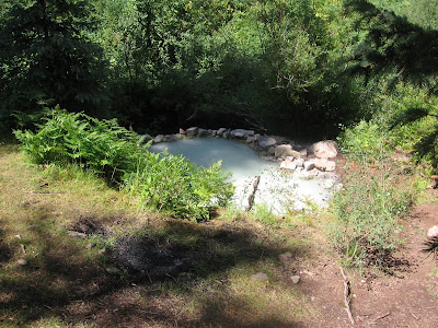 Four Corners Hikes-Dolores River Valley Colorado: Geyser Springs Trail