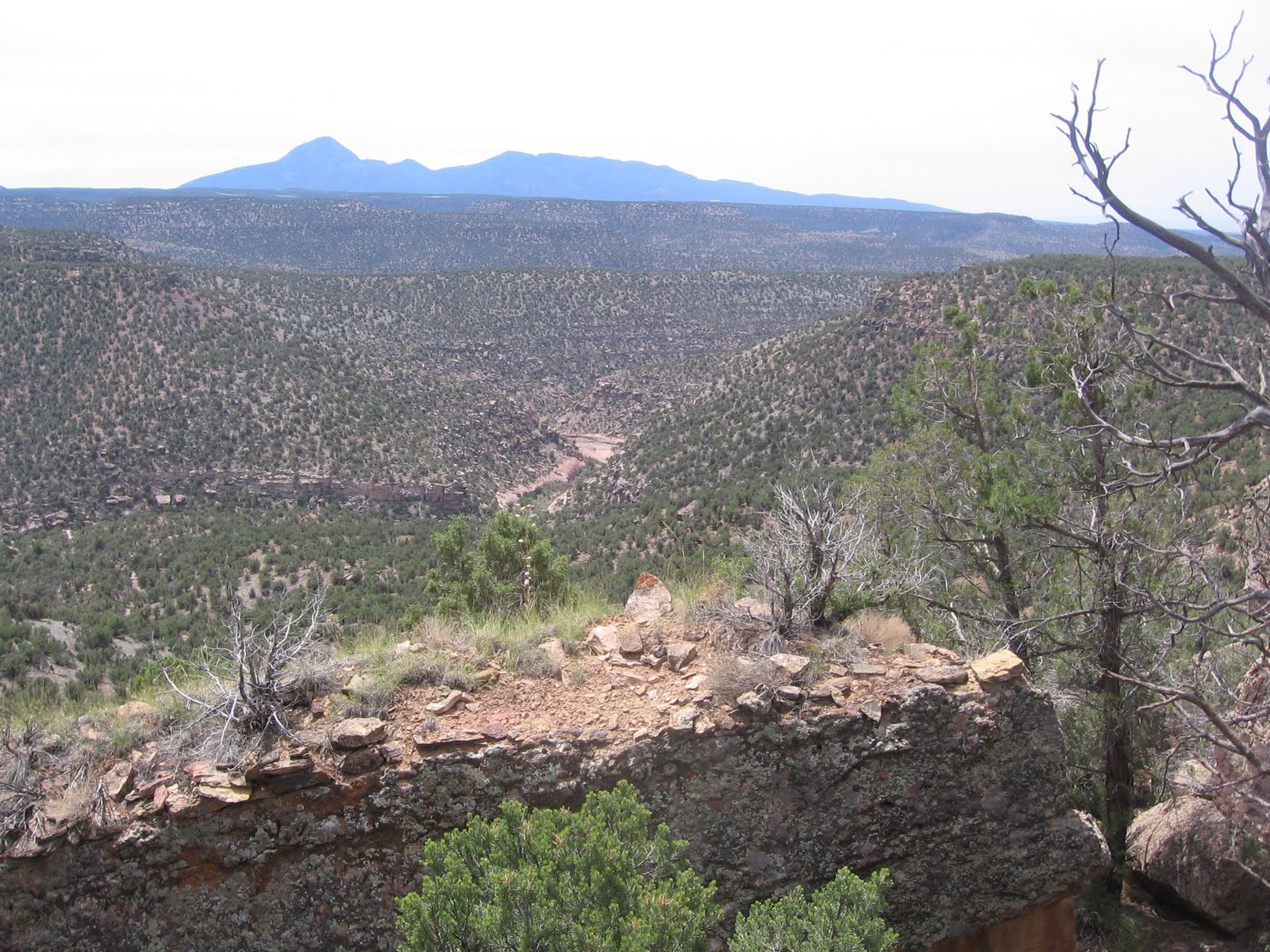 Four Corners Hikes-Canyons of the Ancients: Mockingbird Mesa East ...