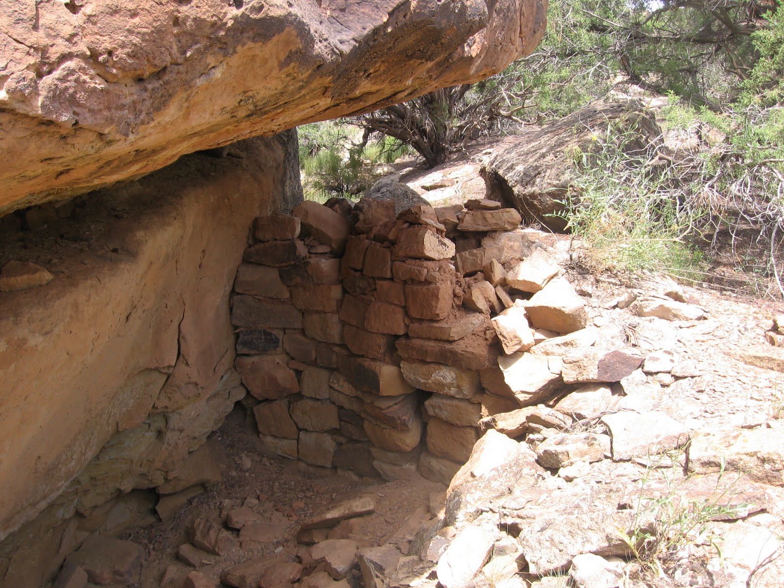 Four Corners Hikes-Canyons of the Ancients: Mockingbird Mesa East ...