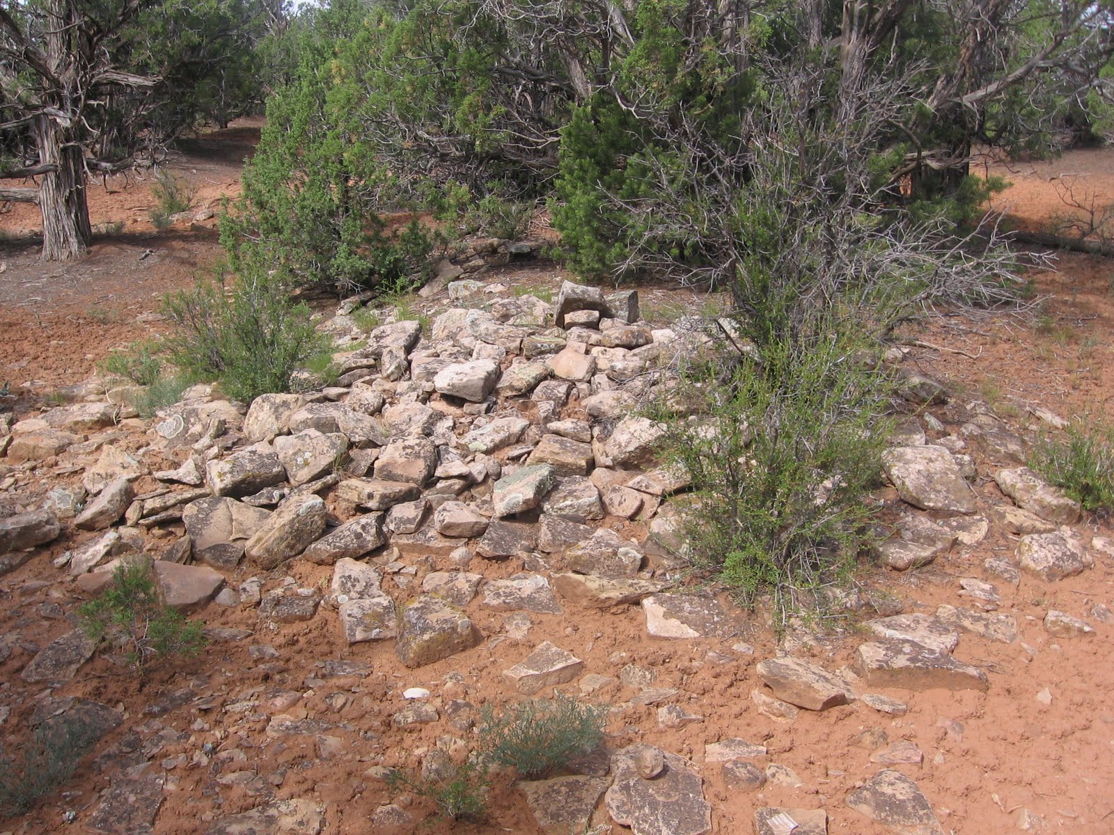 Four Corners Hikes-Canyons of the Ancients: Mockingbird Mesa East ...