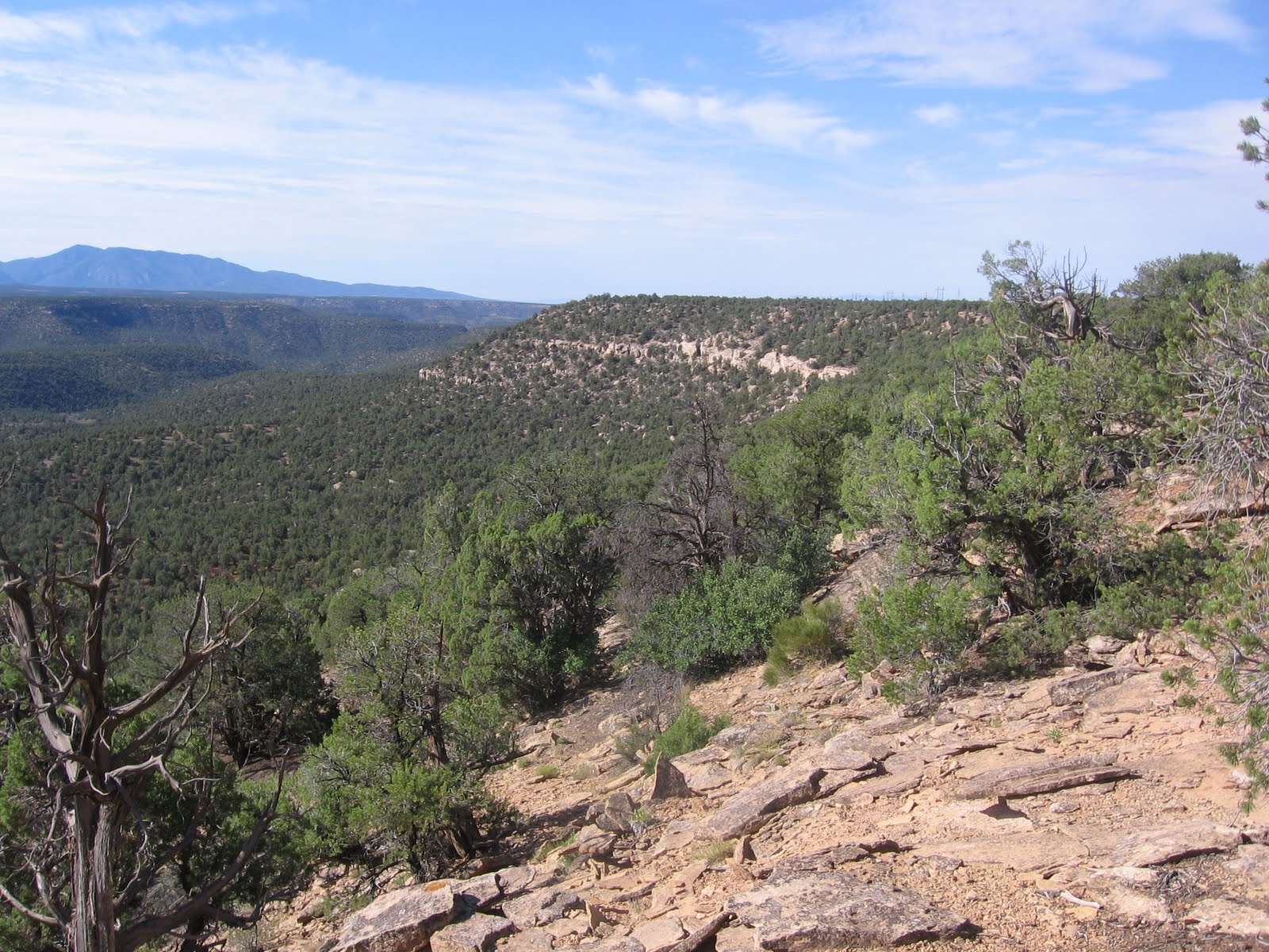 Four Corners Hikes-Canyons of the Ancients: Mockingbird Mesa East ...