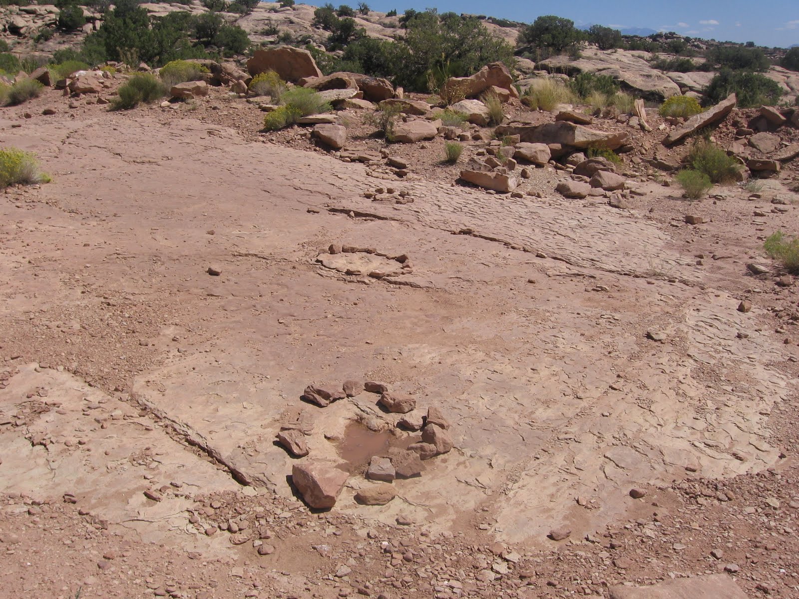 Four Corners Hikes-Arches National Park: Copper Ridge Dinosaur Tracks