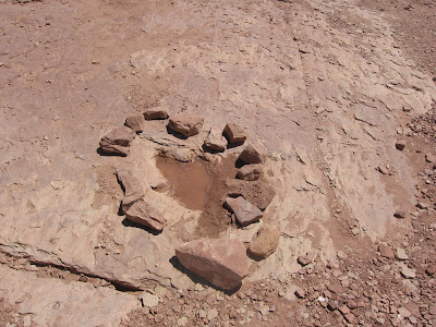 Four Corners Hikes-Arches National Park: Copper Ridge Dinosaur Tracks