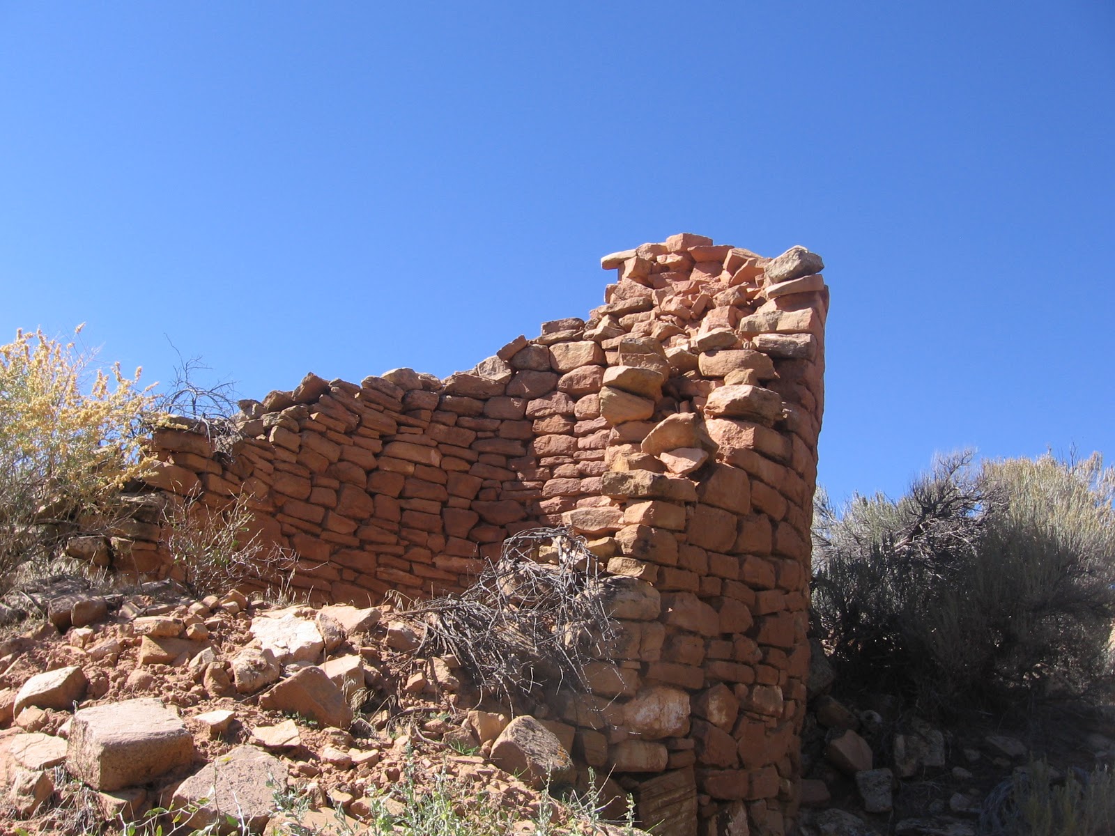 Four Corners Hikes-Canyons of the Ancients: Negro Canyon to SW ...