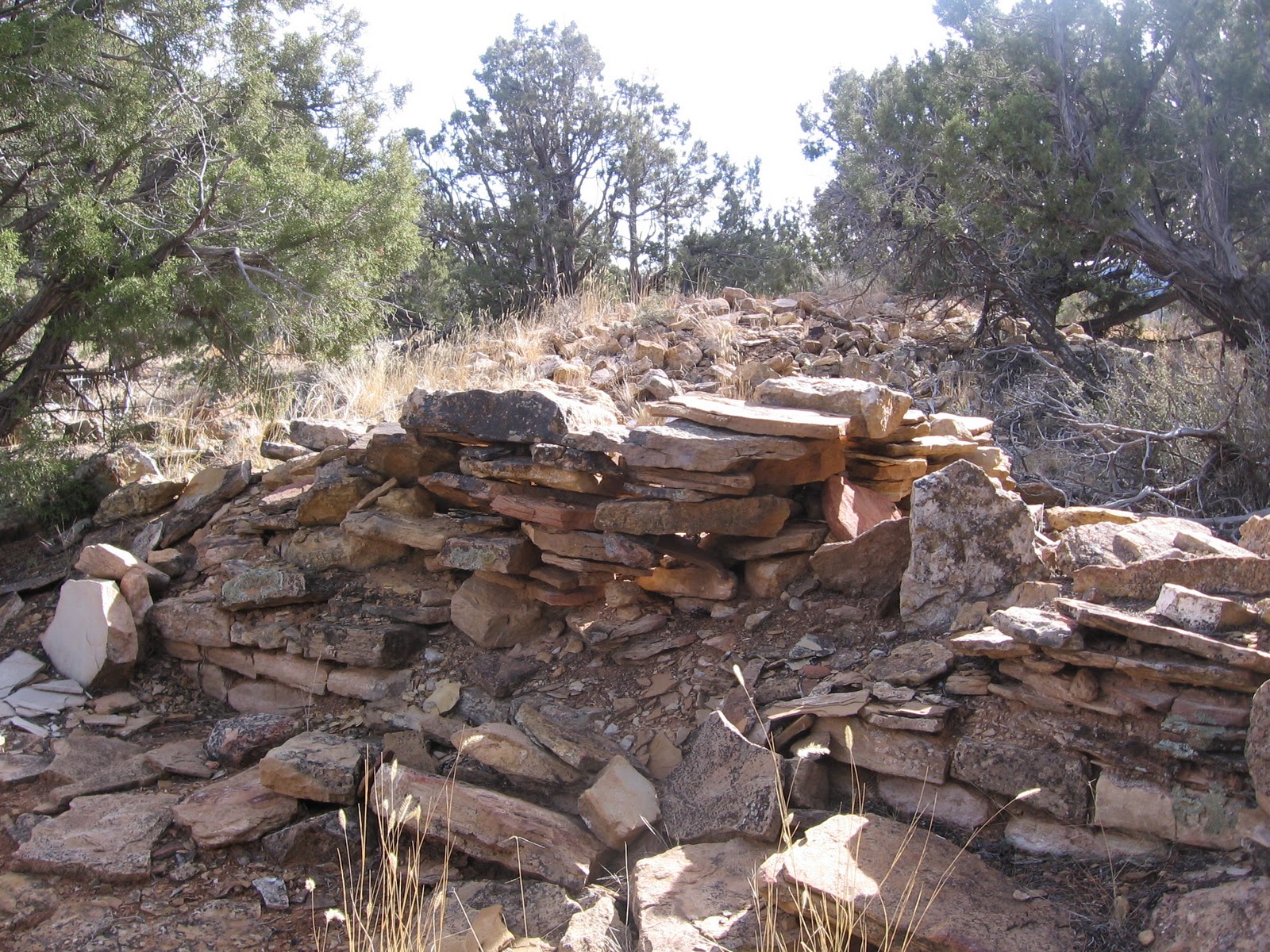 Four Corners Hikes-Canyons of the Ancients: Yellowjacket Canyon near ...