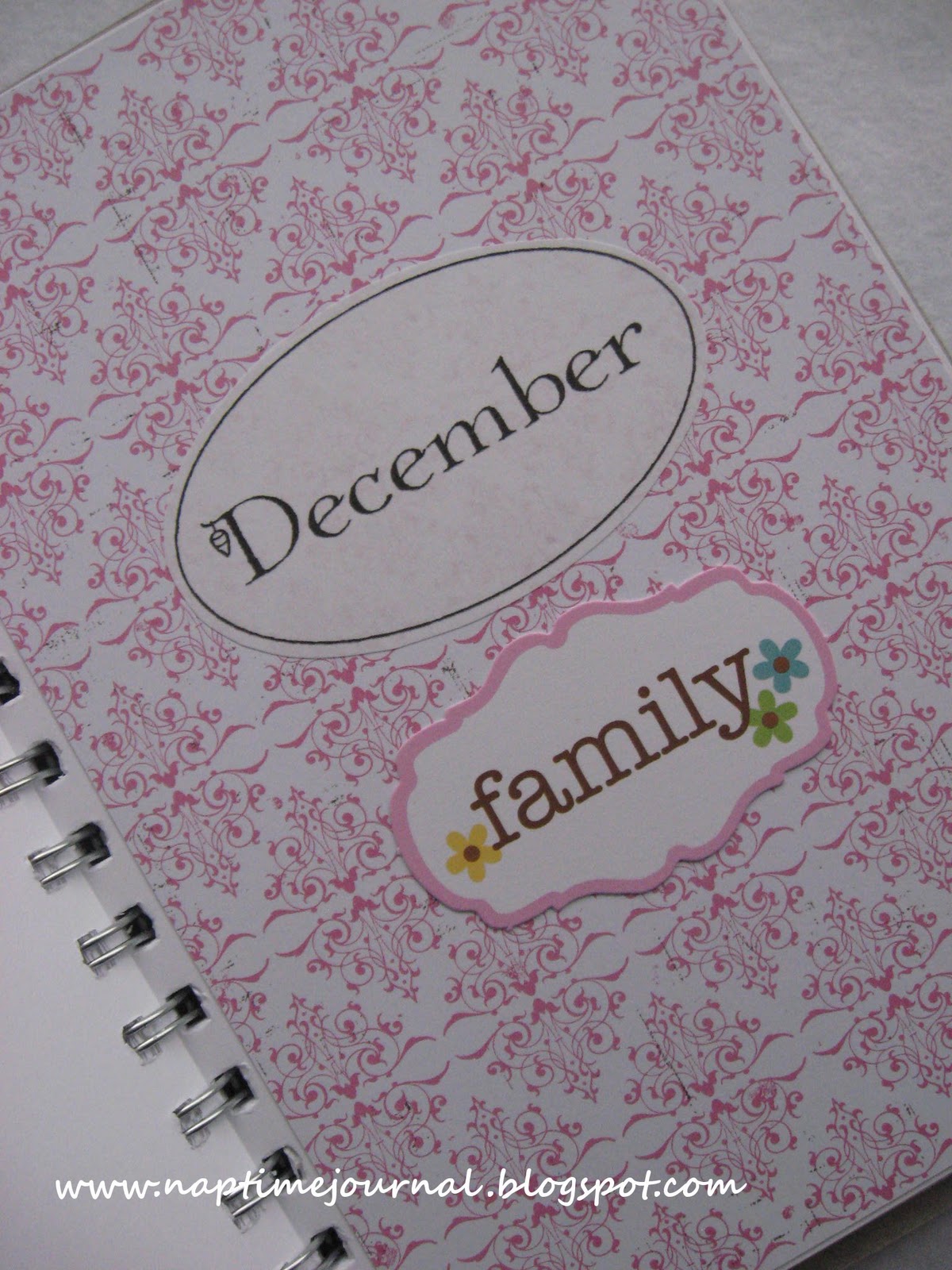 Nap Time Journal: 2011 Family Journal