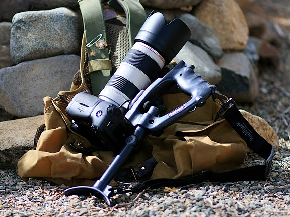 Mr. Quigley Photography: Bushhawk Sholder Stock