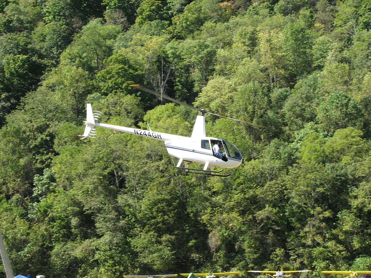 A mile of runway will take you anywhere.: Lee Bottom Wood, Fabric, and ...