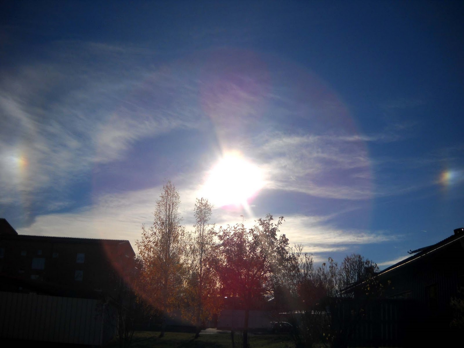 Sundog (Parhelion) in Umeå |Blissful Solitary Wanderings