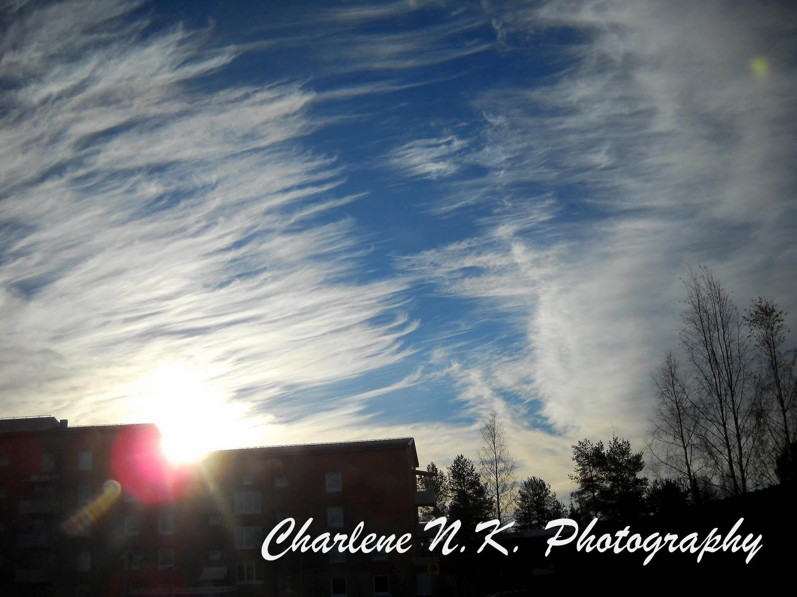 My Nature Photography: Morning, Noon and Evening