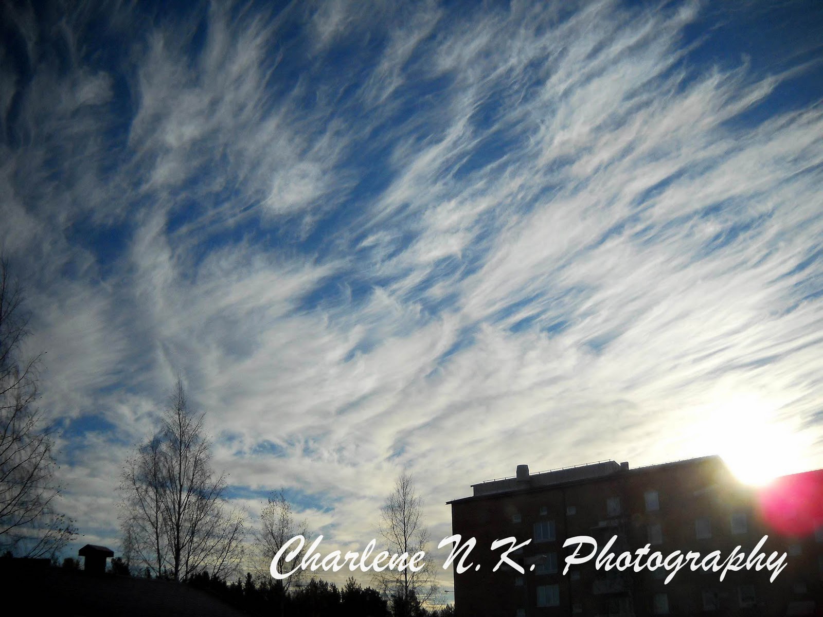 My Nature Photography: Morning, Noon and Evening