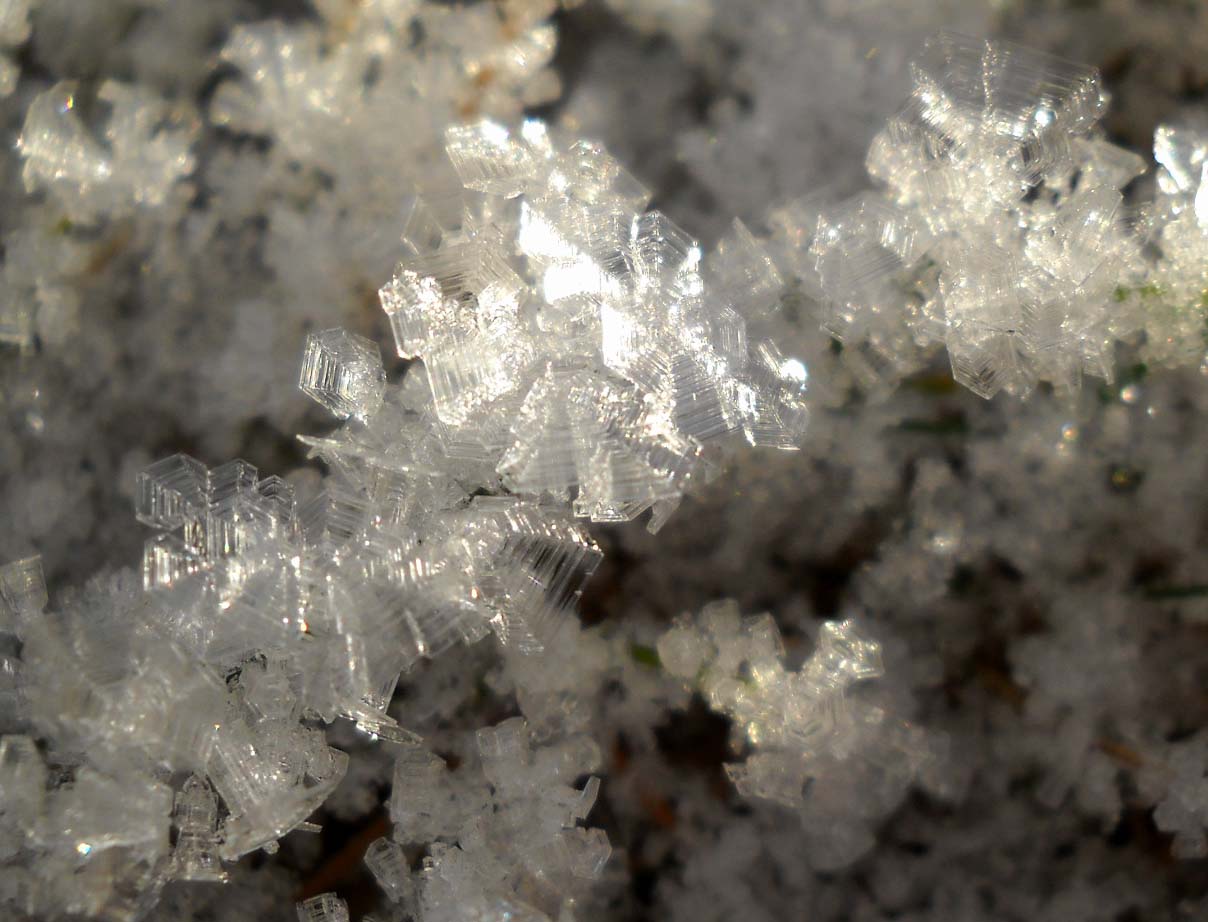 My Nature Photography: Ice Crystals in Macro