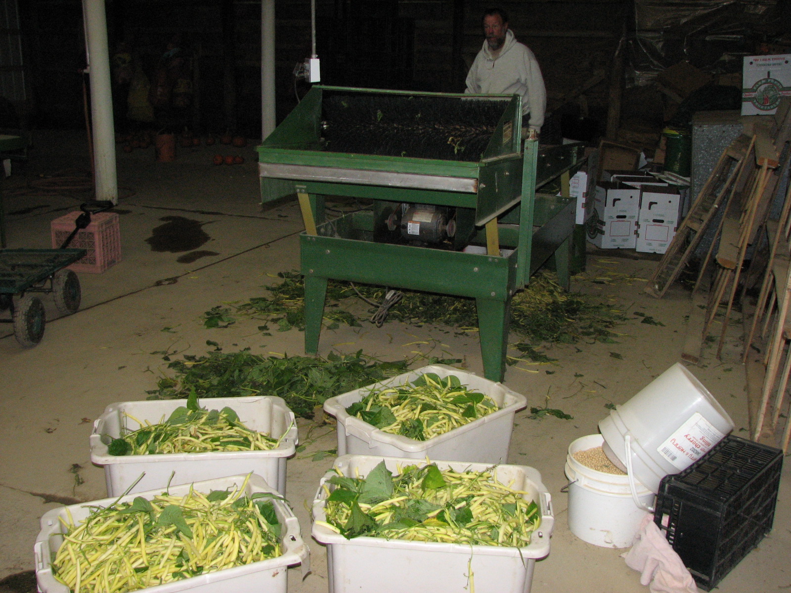 Peters Creek Farm: The bean sorter
