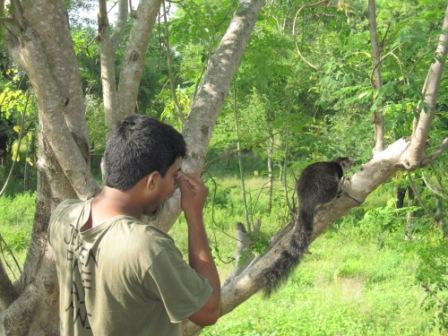 THE JUNGLE GRAPEVINE: Updates from the Field - Sri Lanka Wildlife ...