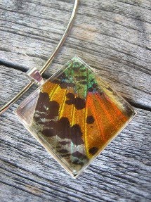 Real Insect Jewelry by Aquakej (Insect Art) / The Beading Gem