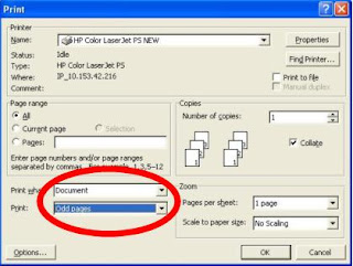 The SWAT: How to print double-sided manually