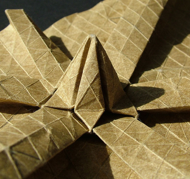 Museum of Extinct Species: Eric Gjerde LINK