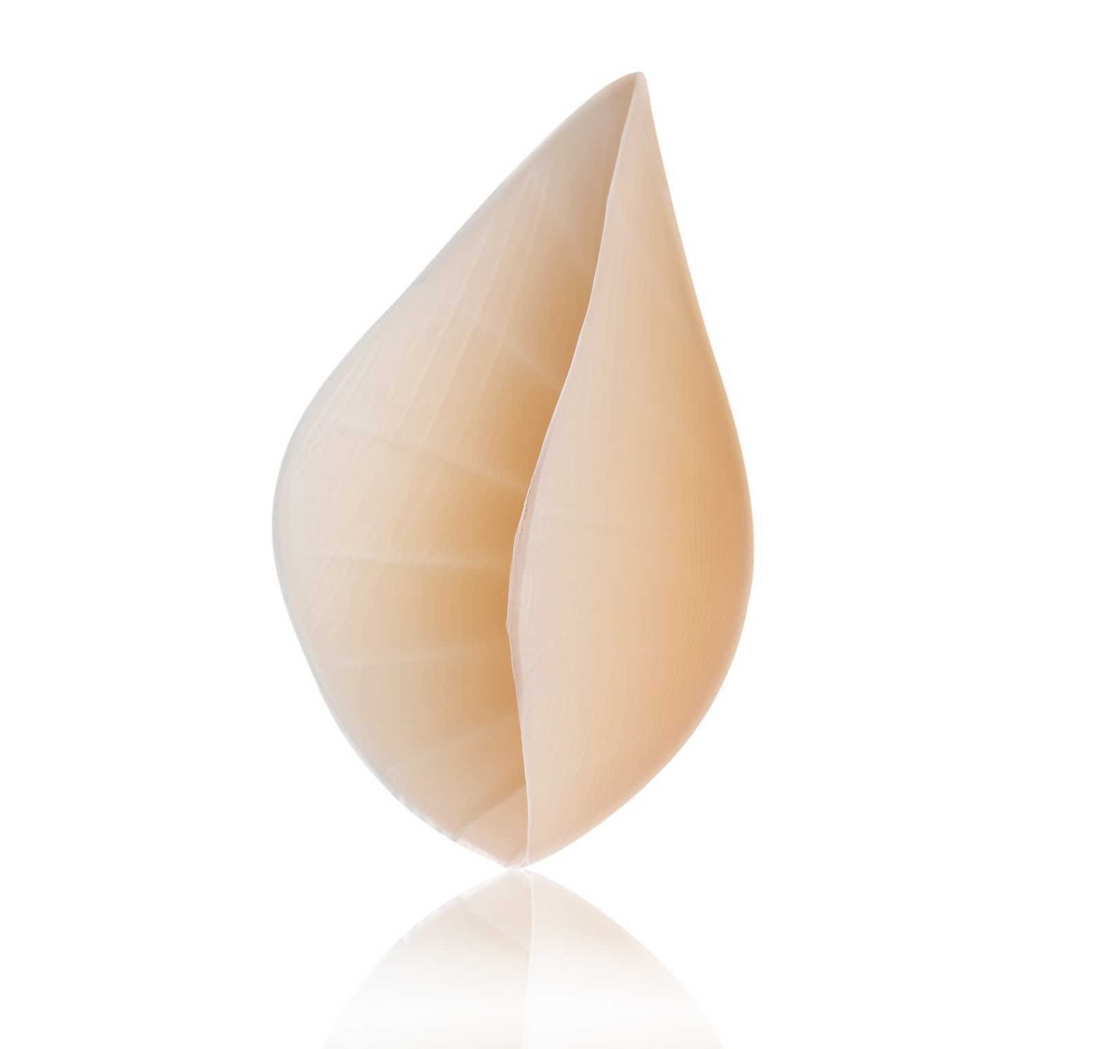 Mastectomy: Mastectomy Lumpectomy