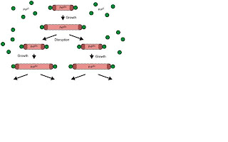 The Virology Blog: Prions, Viroids and Virusoids
