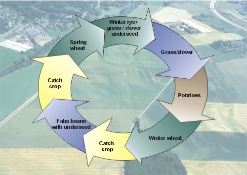 Impotence of Crop Rotation