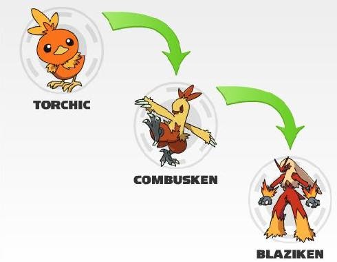 Pokémon Chake©: Torchic e suas "Evoluções"