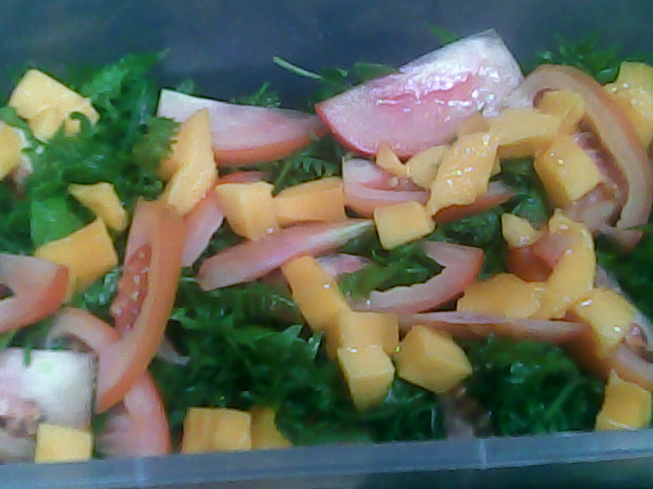 The Quack Chef: Fern Salad