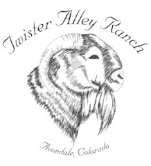Twister Alley Ranch
