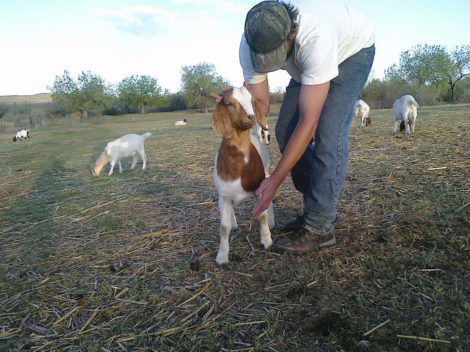 Twister Alley Ranch: Photos of the Ranch!