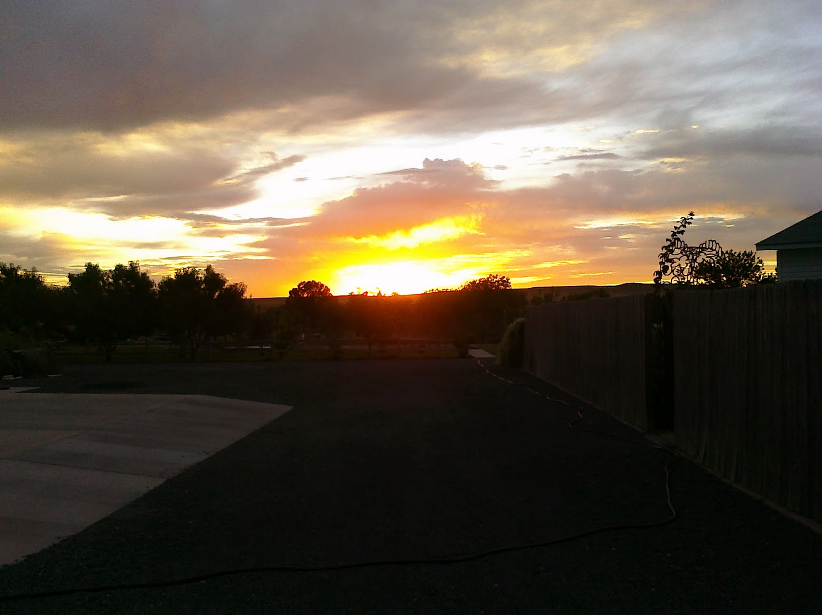 Twister Alley Ranch: Photos of the Ranch!