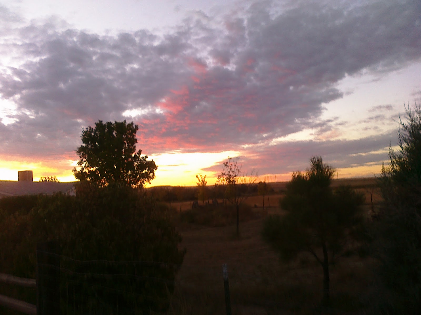 Twister Alley Ranch: Photos of the Ranch!