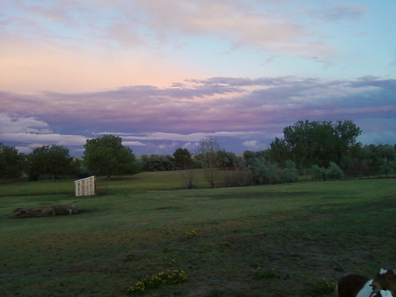 Twister Alley Ranch: Photos of the Ranch!