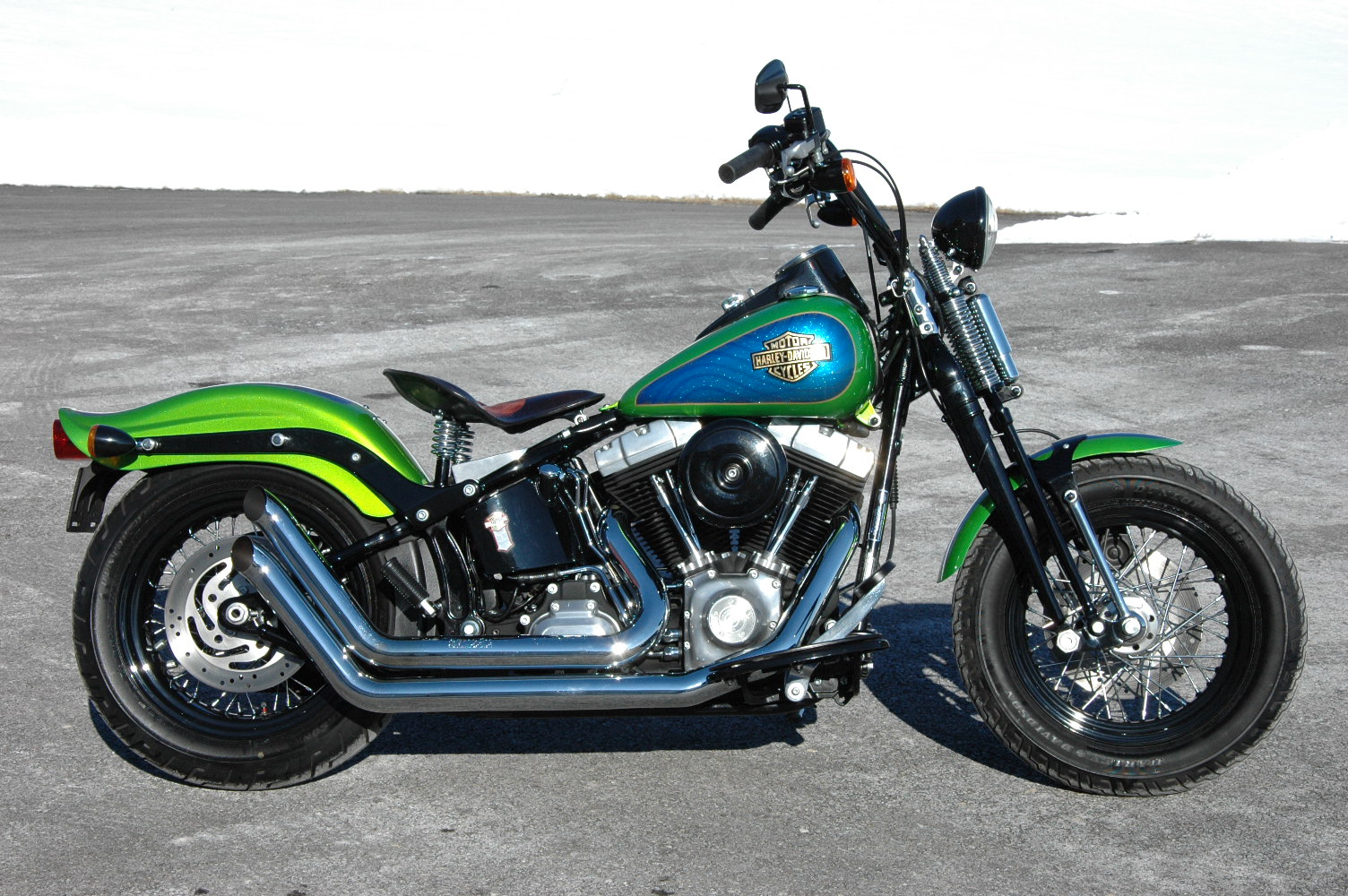 biker excalibur II: 2008 Harley-Davidson Softail CROSS BONES Springer