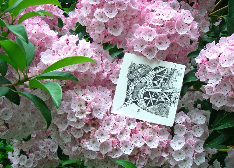 Zentangle: Basic Tangles