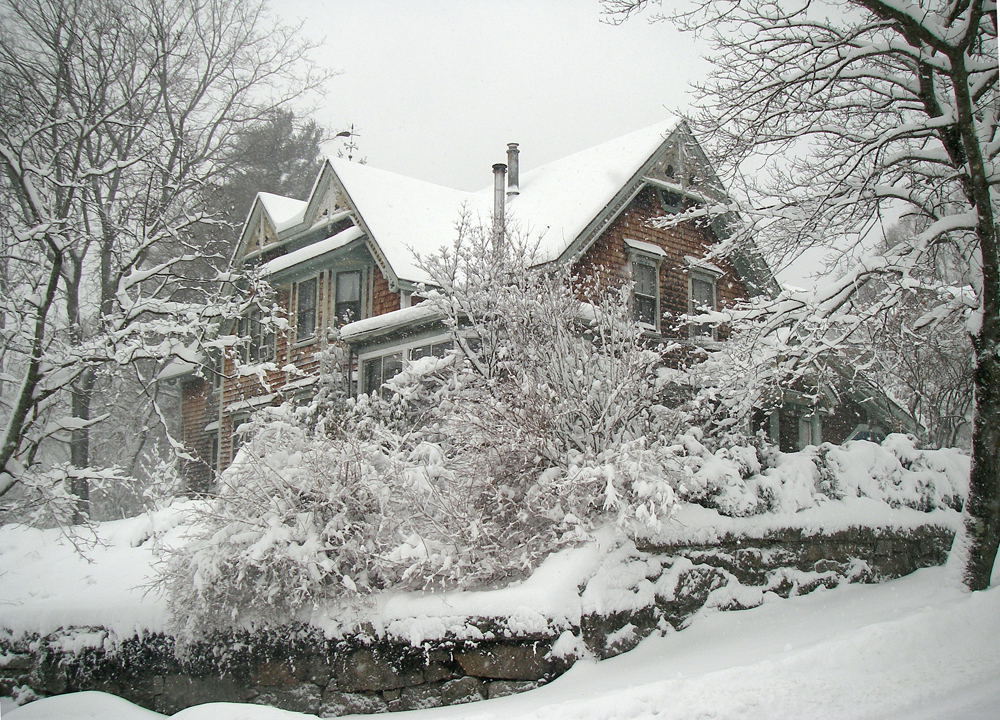 Zentangle: January 2011