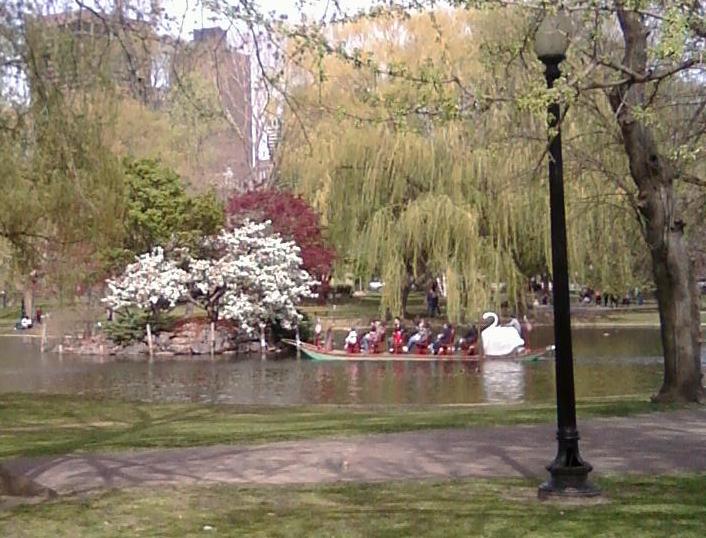 Urban Photography: Spring Scenes -- Boston Public Garden