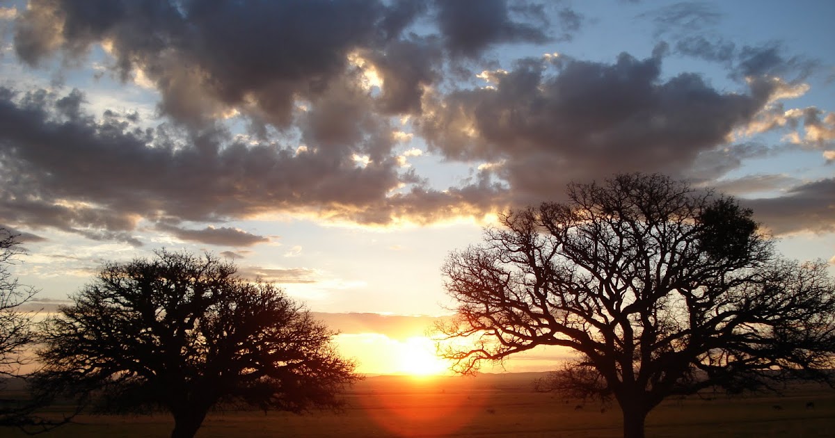 Phil on Film: Review - Silent Light (Stellet licht)