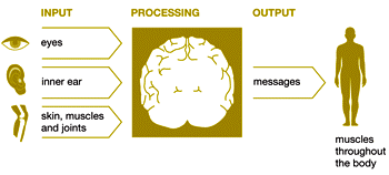 Discover What You Know: INPUT, PROCESSING, OUTPUT SYSTEMS