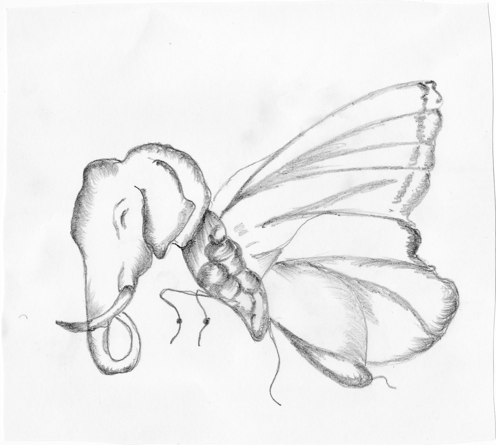 CREATIVE STUDIES: JUXTAPOSITION