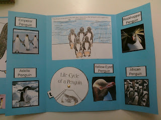 Homeschool Days: Penguin Lapbook