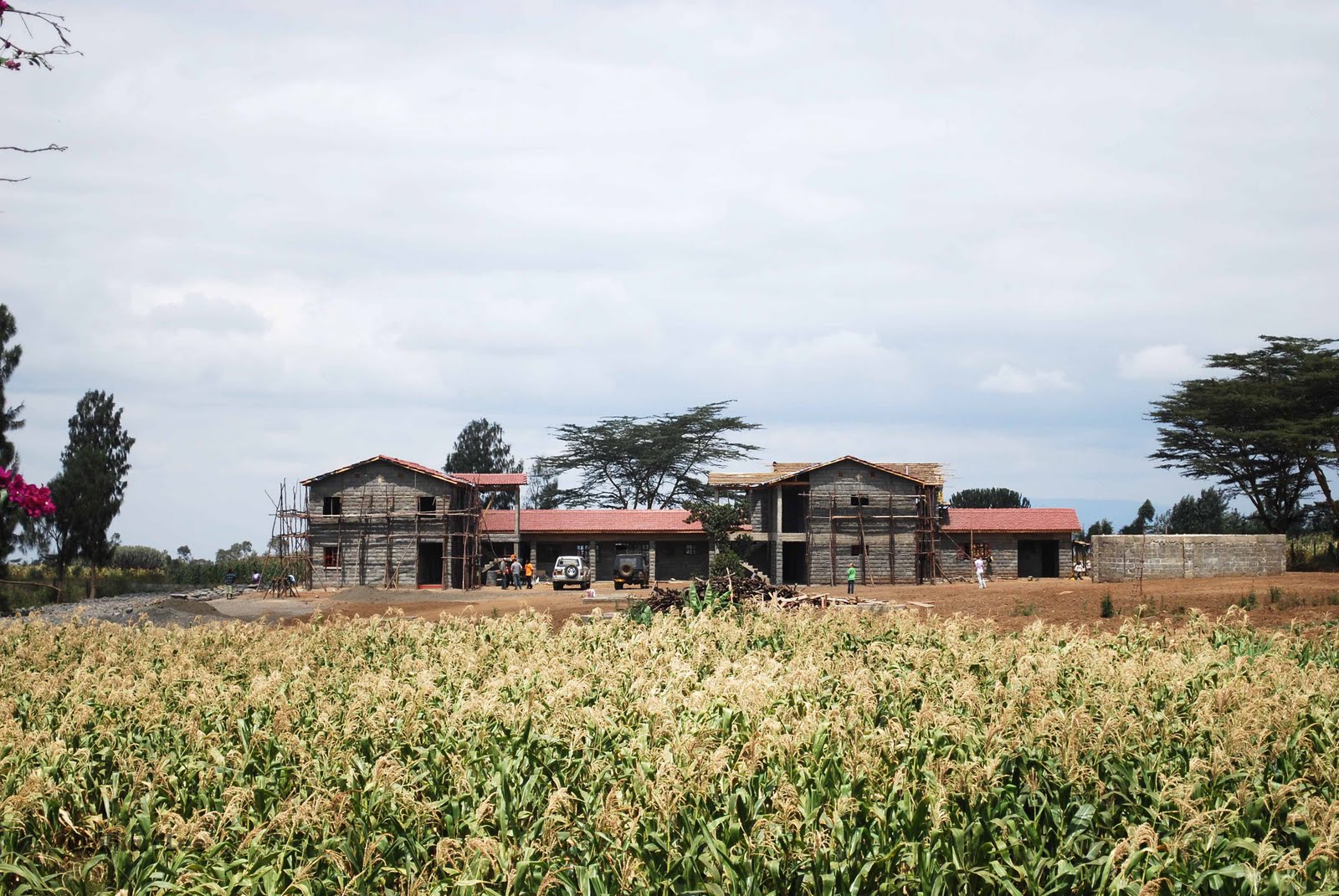 Upendo, Amahoro, and Coffee.
