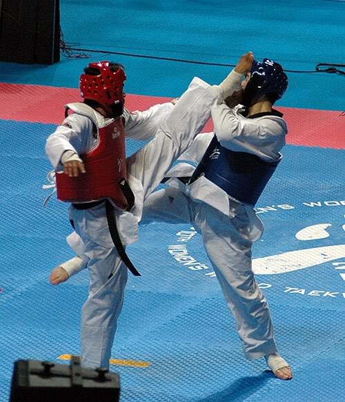 My Favourite Sport : Taekwondo | Kwong Fei's Blog