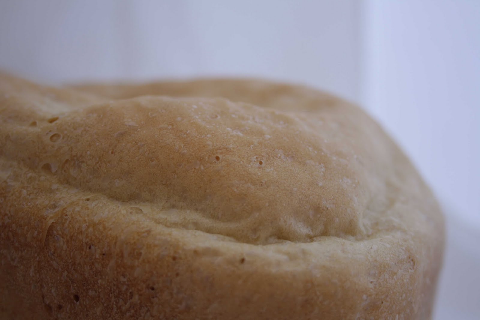 junio 2010 - Tengo un horno y sé cómo usarlo