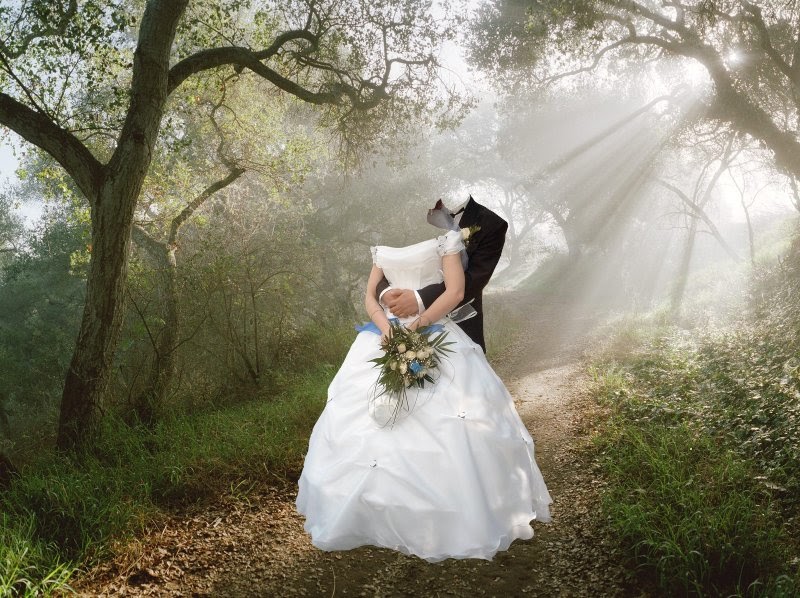 IMAGENES GRATIS: Fondos para fotos: Boda