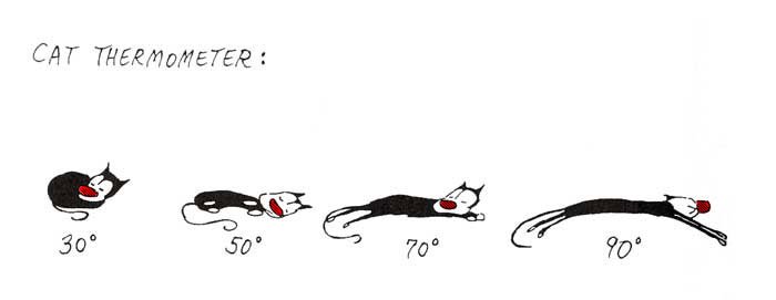 Felids: Cat Thermometer