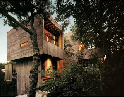 Step Into My Cube: Tree house