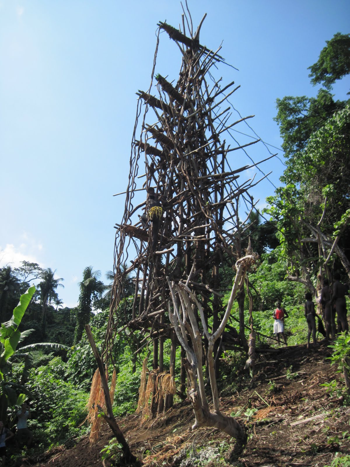 Life in the South Pacific: The original bungee jumping!