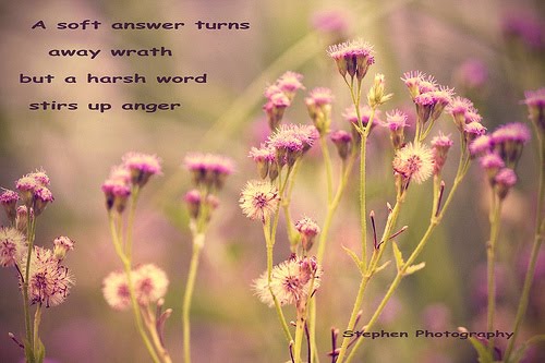 in all honesty: the art of the gentle answer