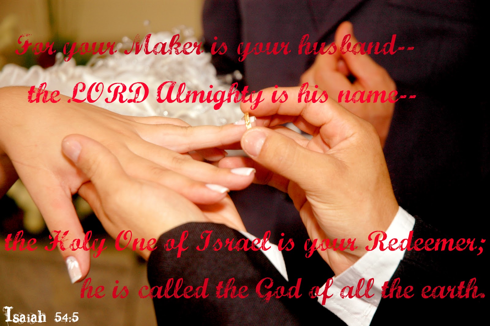 Joanne Sher: Editor/Proofreader : October 2010