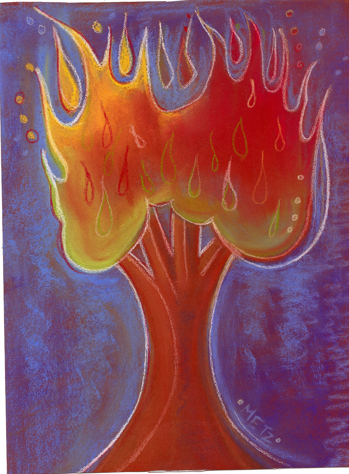 The Finest Muffins and Bagels in All the Land: November 2010