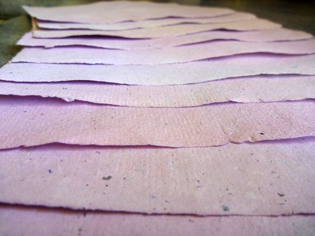 Seaweed & Raine: Dyes and Stamps